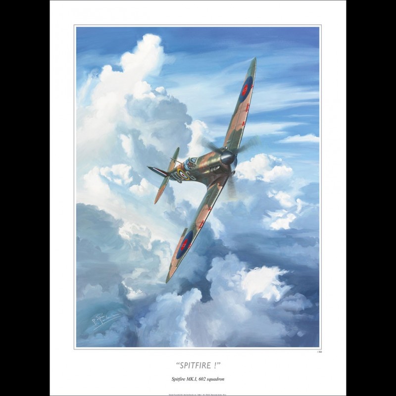 Affiche Spitfire 80 x 60 cm dessin original de Benjamin Freudenthal