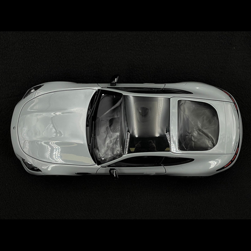 Mercedes-AMG GT 43 2024 Gris Alpin 1/18 NZG 105200059 1052/59
