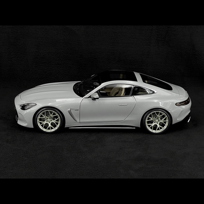 Mercedes-AMG GT 63 2024 Gris Alpin 1/12 NZG 103310052 10331/52