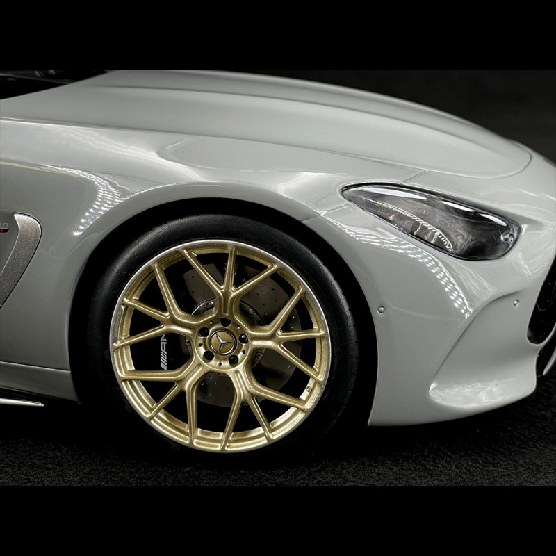 Mercedes-AMG GT 63 2024 Gris Alpin 1/12 NZG 103310052 10331/52