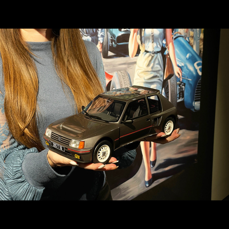 Peugeot 205 T16 Series 200 1984 Winchester Grey 1/12 Ottomobile G091